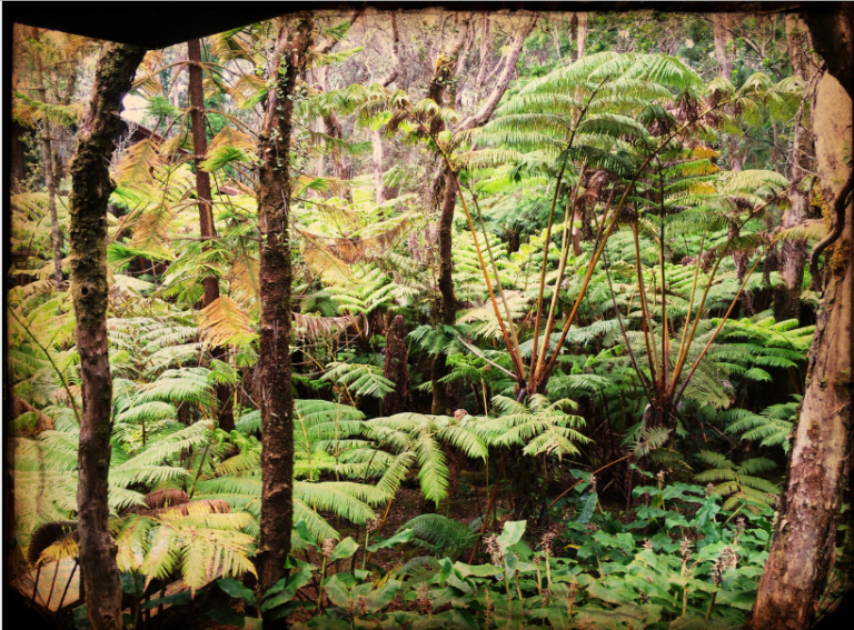 Weekend Adventures on the Big Island-Part 1-Volcanoes National Park ...