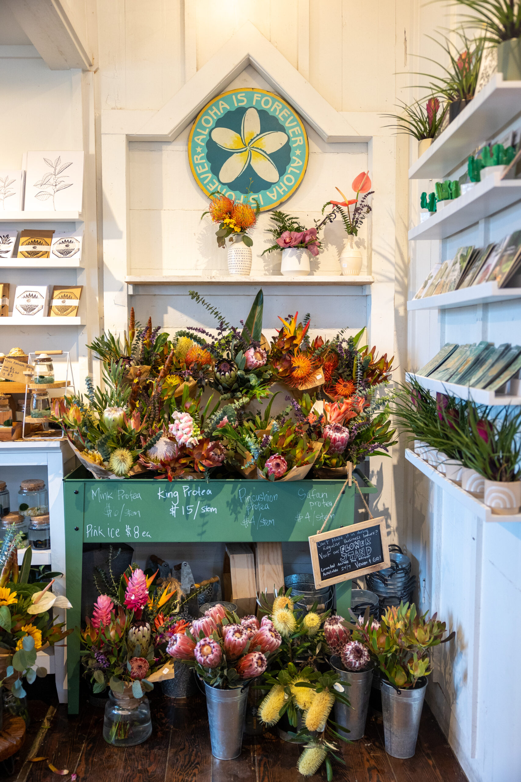 Local Business Spotlight: Kona Treehouse - Luva Real Estate