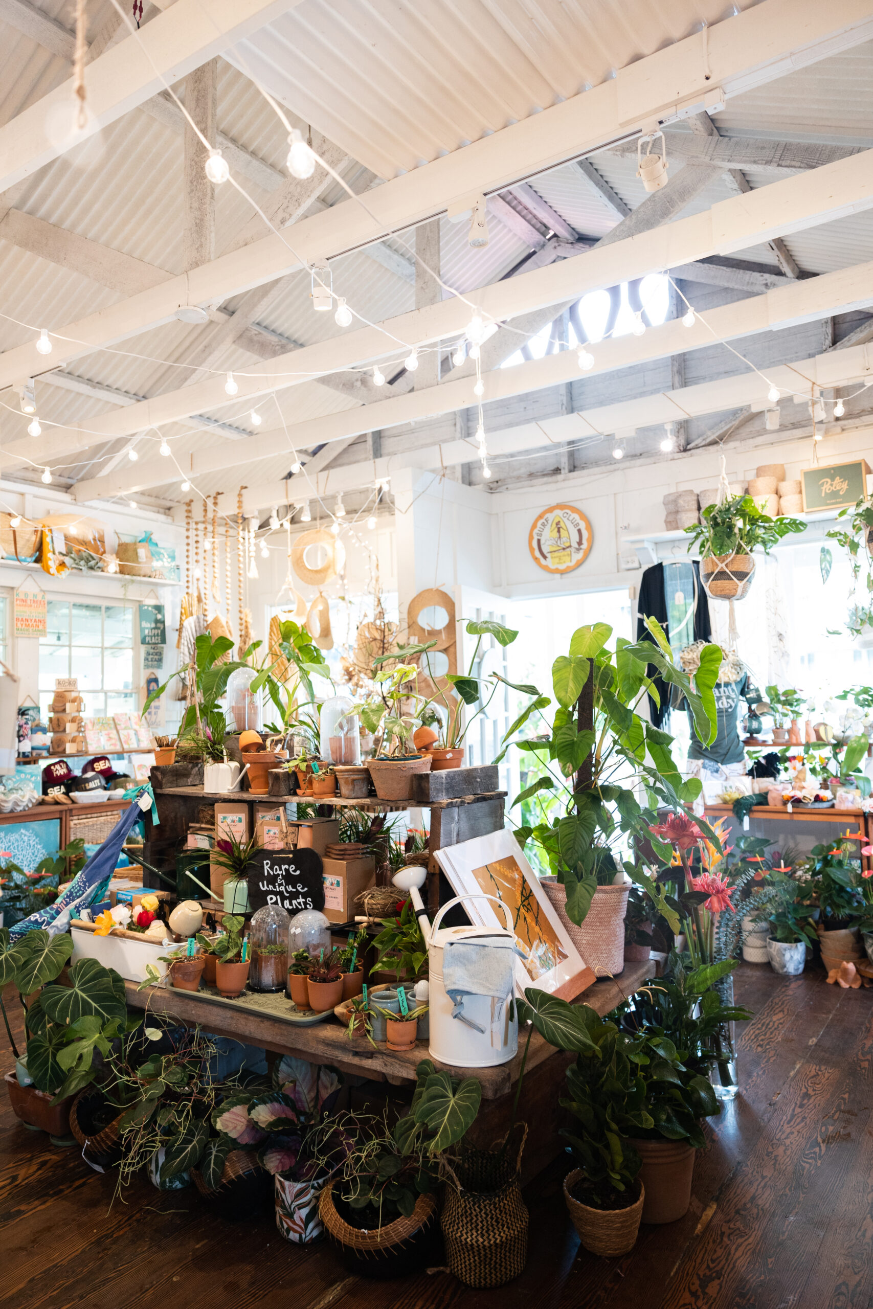Local Business Spotlight: Kona Treehouse - Luva Real Estate