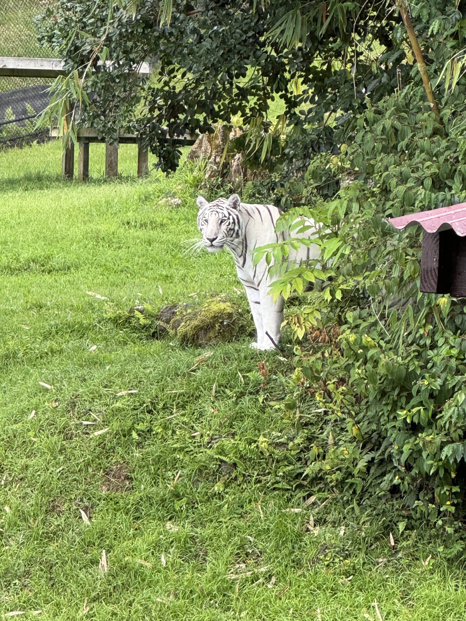 Panaewa Rainforest Zoo and Gardens - Luva Real Estate